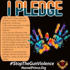 Namel Prince Foundation